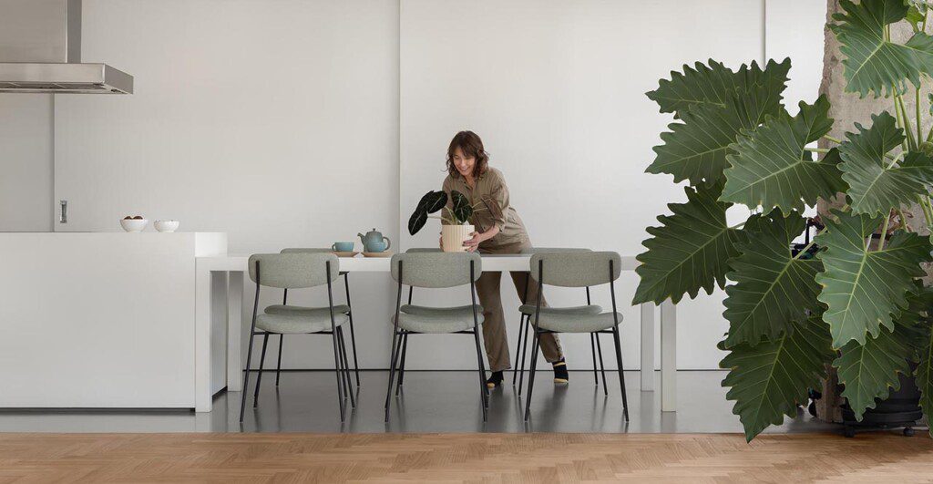 Conheça a Teto Casa, marca de mobiliário com design acessível ...